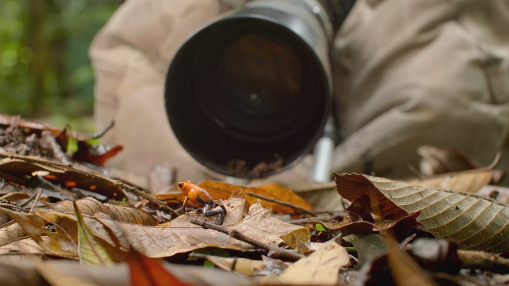 Tiny World | Apple TV+