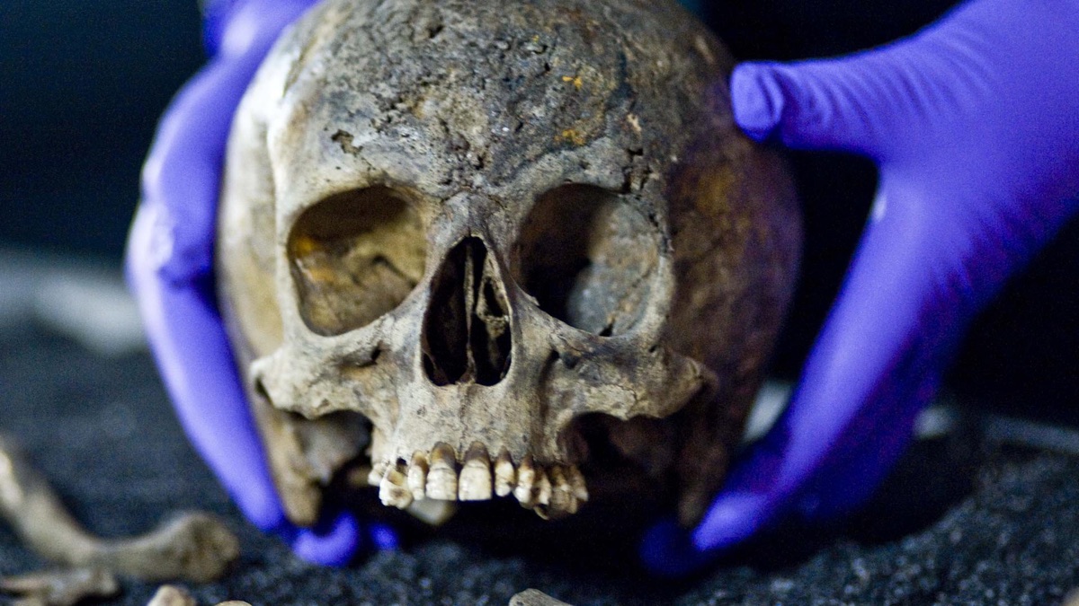 History Cold Case - Apple TV