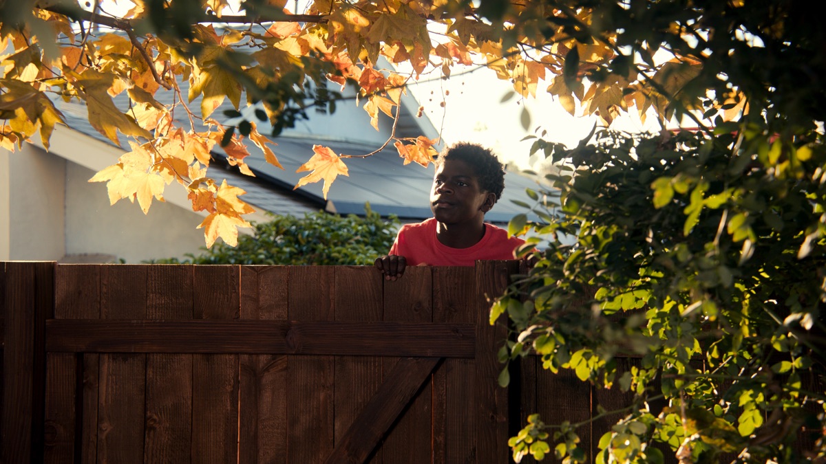 Watch Scars – Life by Ella (Series 1, Episode 3) | Apple TV+ (uk)