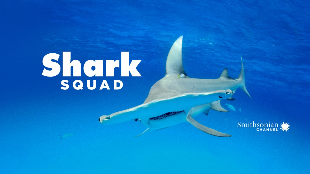 Shark Squad | Apple TV