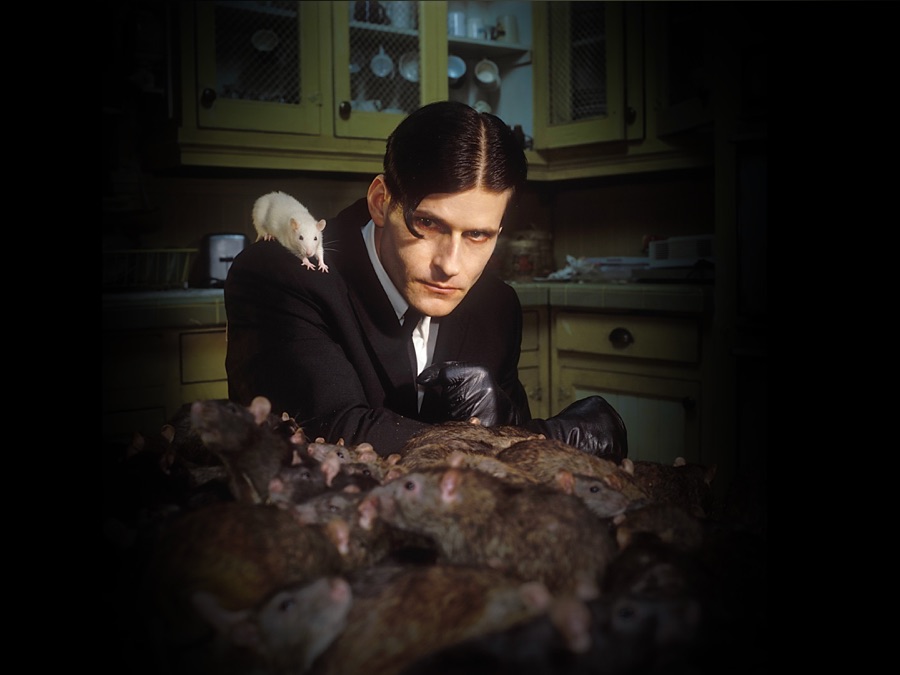 Willard | Apple TV (CA)