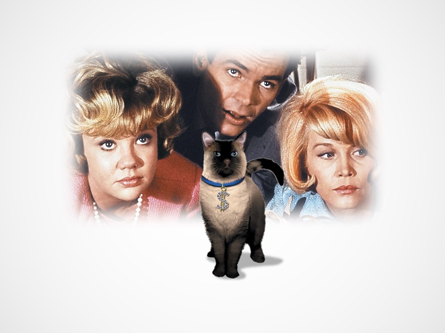 That Darn Cat! | Apple TV