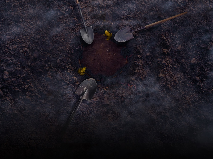 Mystery at Blind Frog Ranch | Apple TV