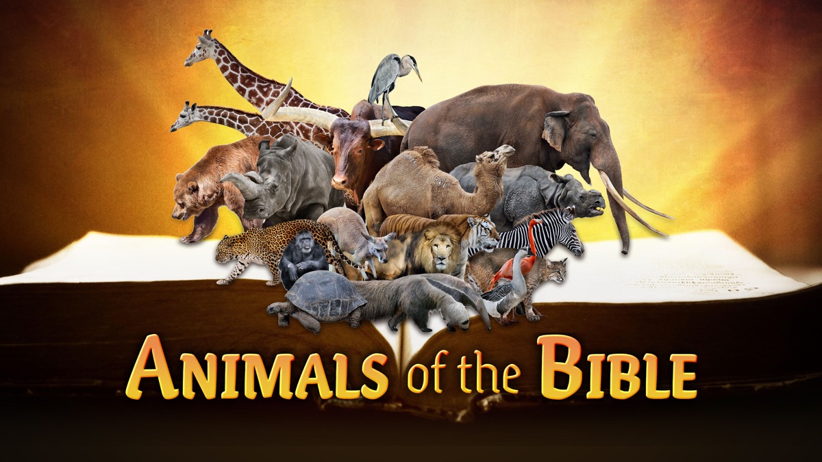 Animals Of The Bible - Apple TV