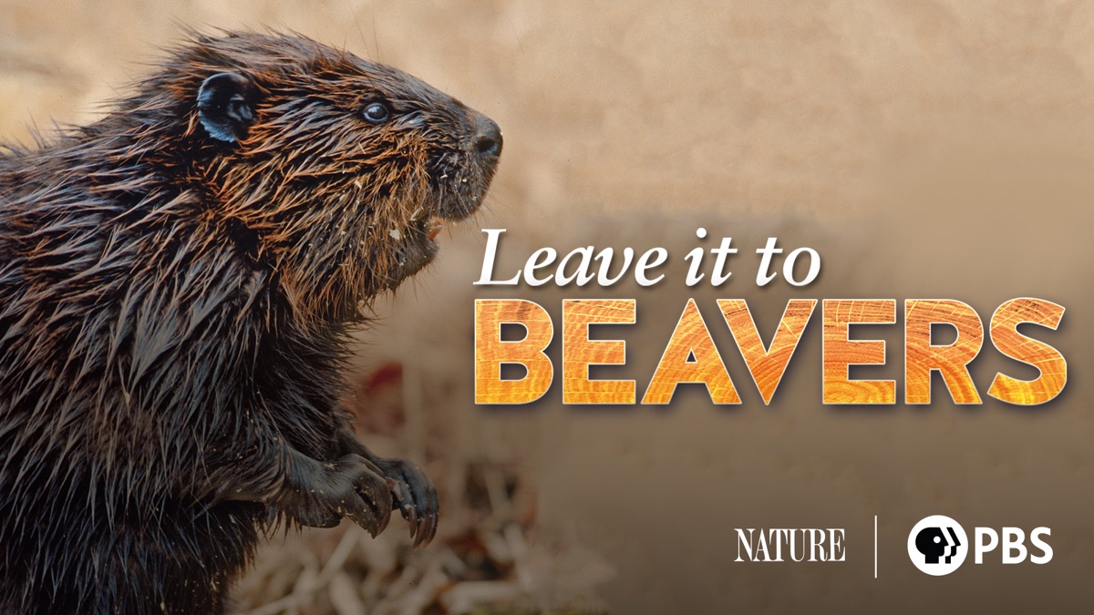 Leave it to Beavers | Apple TV