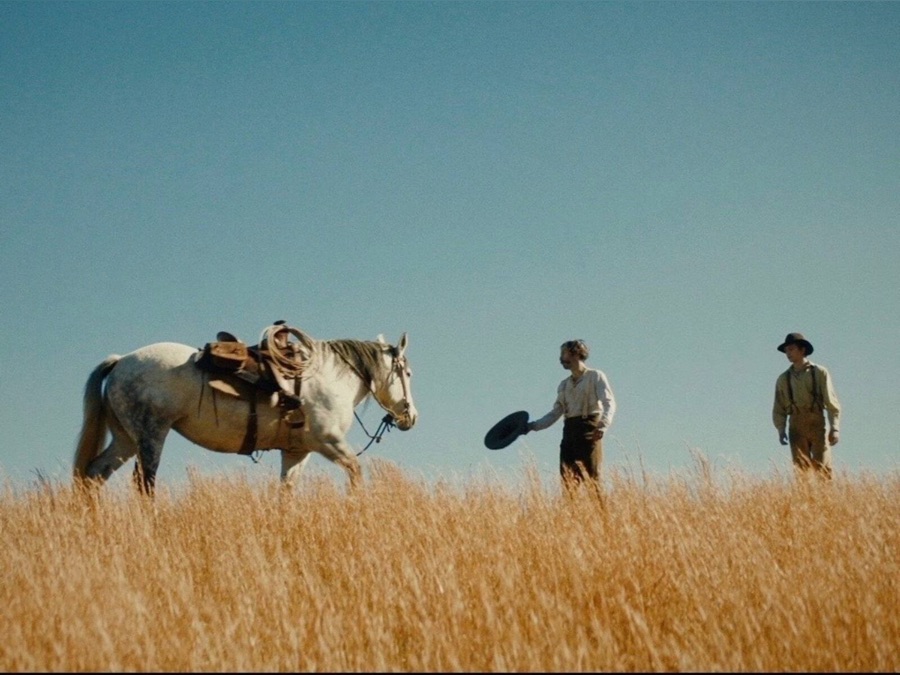 Old Henry - Apple TV