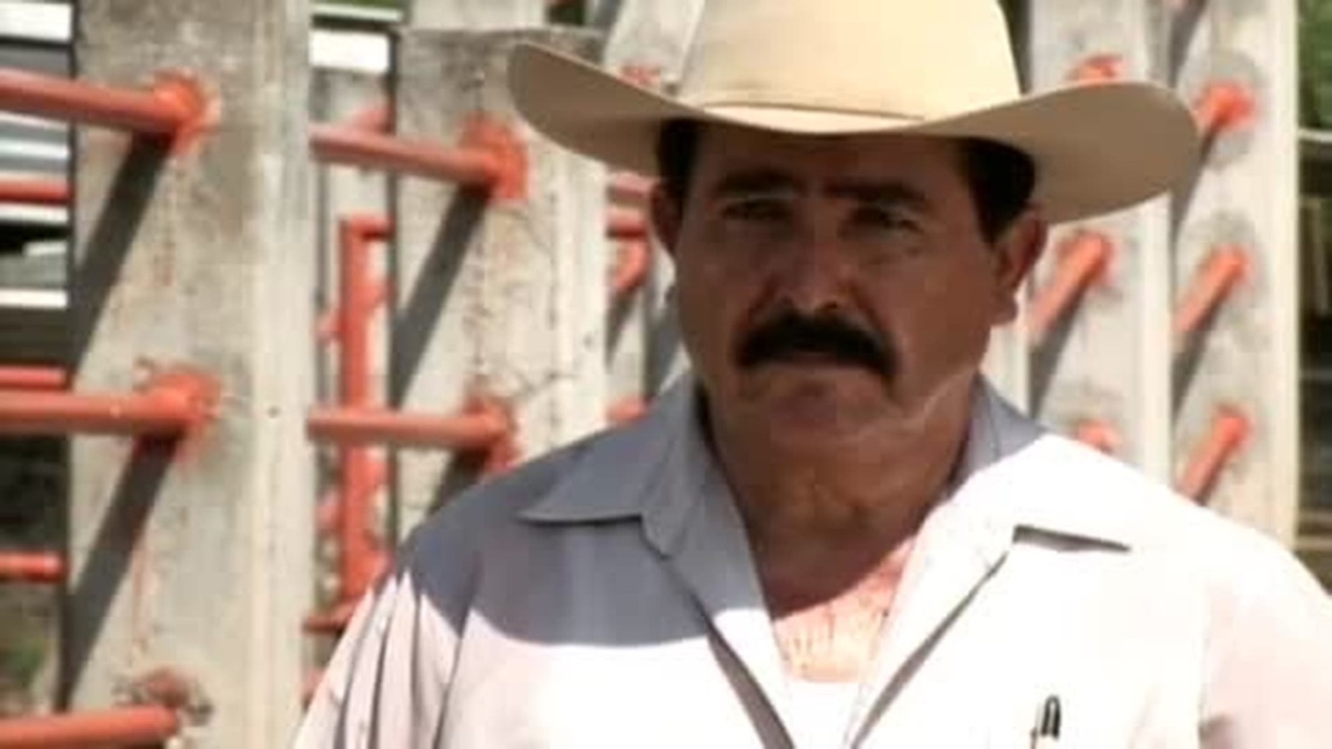 Los Zetas | Apple TV