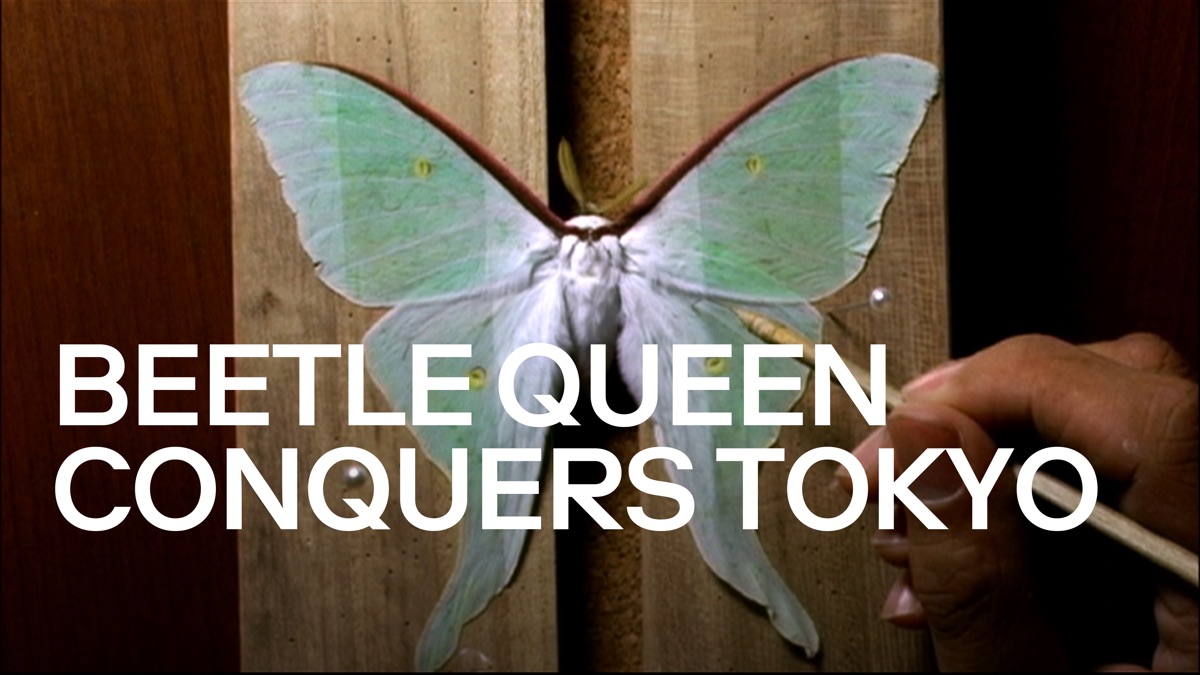 Beetle Queen Conquers Tokyo | Apple TV