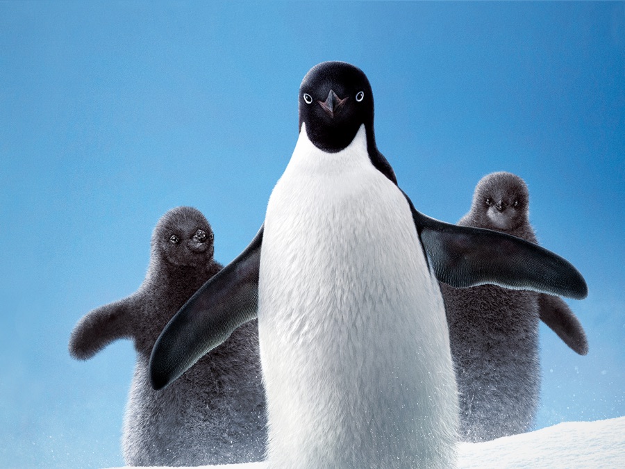 Penguins - Apple TV (AU)