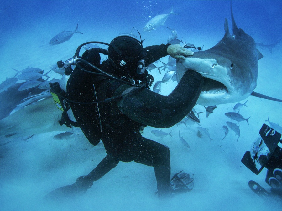 Man vs. Shark - Apple TV (UK)