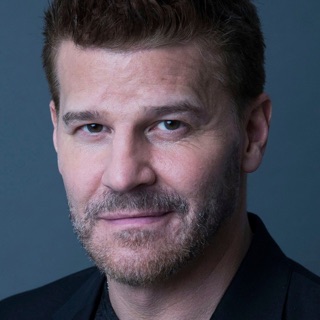 SEAL Team on Apple TV