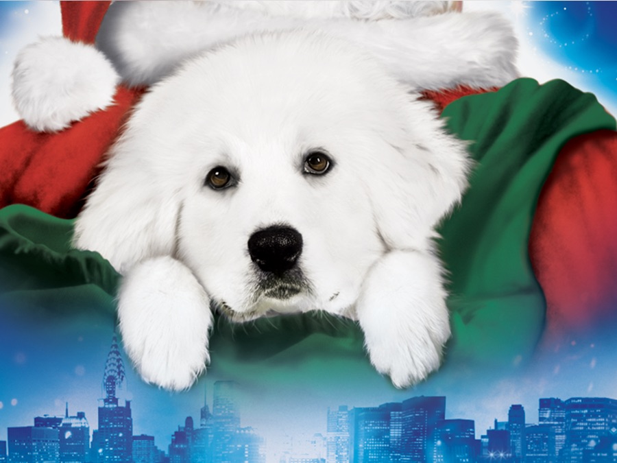 The Search for Santa Paws | Apple TV (BE)