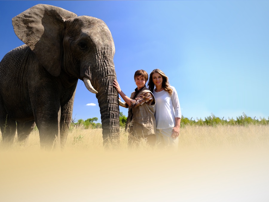 An Elephant's Journey - Apple TV (BE)