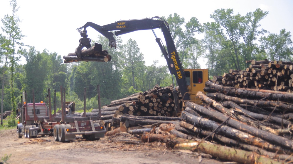 Swamp Loggers on Apple TV