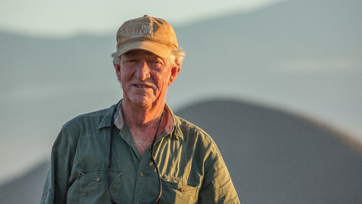 Wild Daze - Apple TV