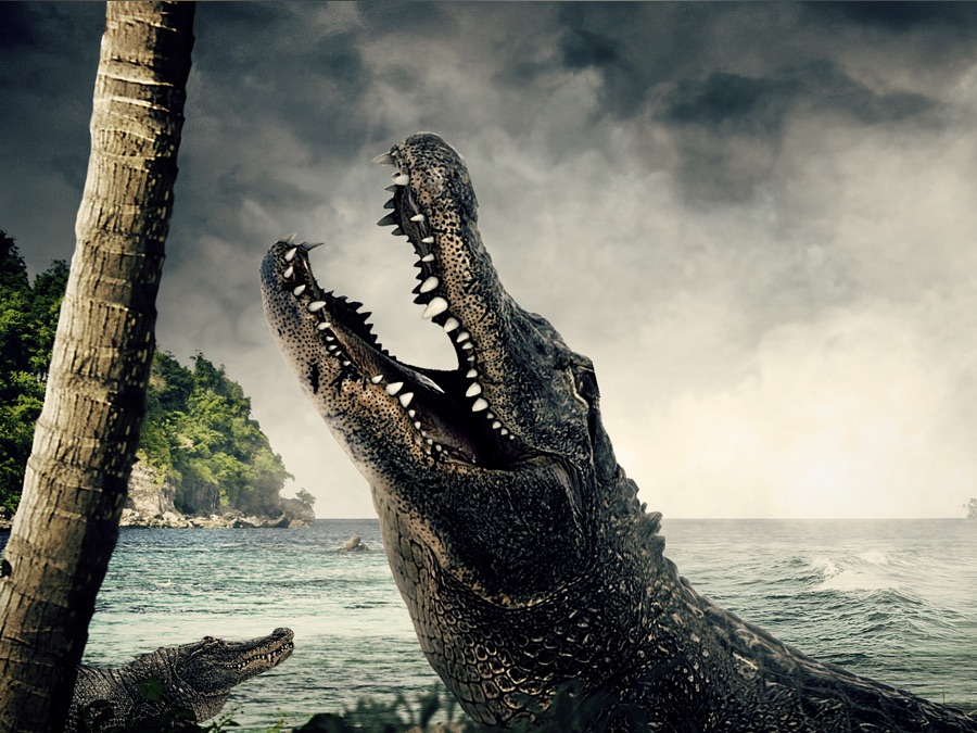 Deadly Islands | Apple TV (UK)